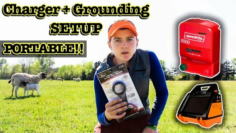 BEGINNER LEVEL: Electric Fencing System for Rotational Grazing Sheep ...
