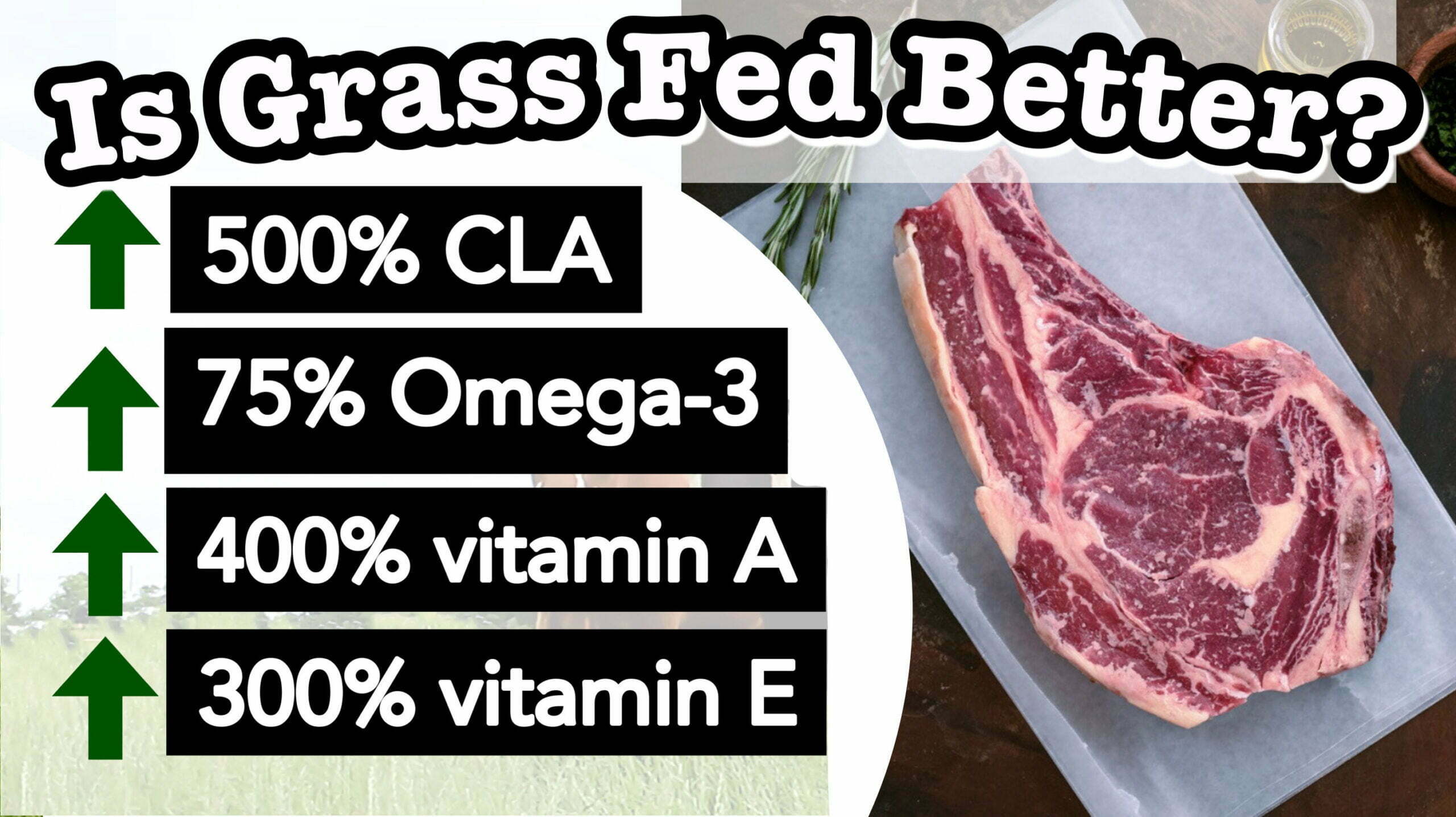 Grain Fed Beef