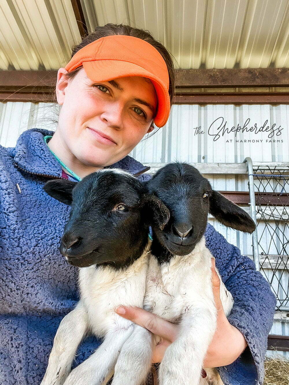 Season Finale (and reminder!) The Shepherdess