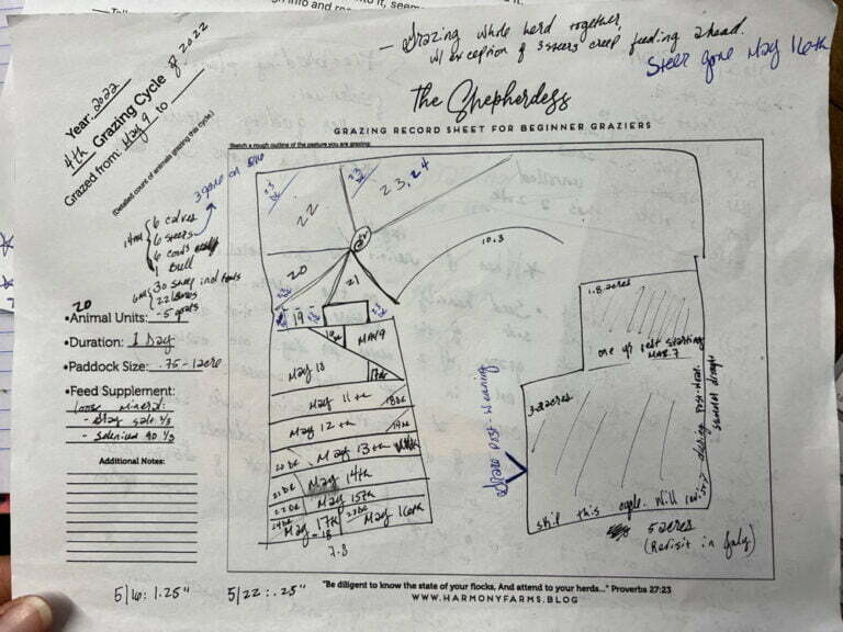 FREE TEMPLATE: How I Record my Rotational Grazing System. The Shepherdess