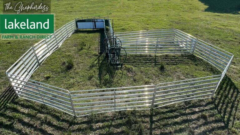 BASIC SHEEP SUPPLIES I USE | Deworming, Tail Docking, Shots, and more ...