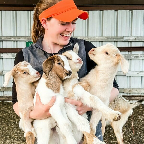 AVAILABLE - The Shepherdess