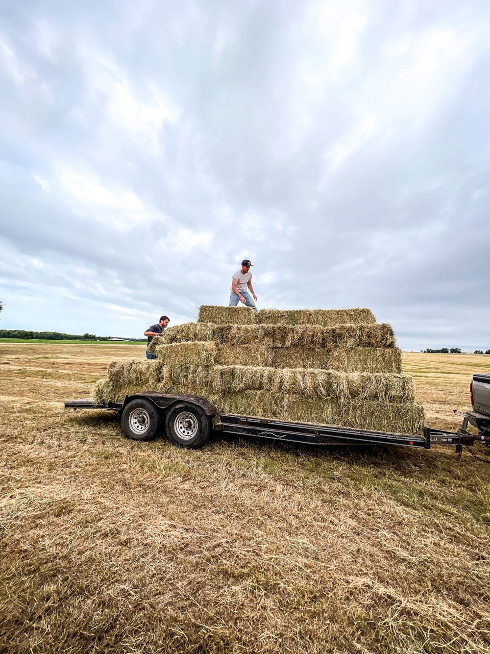 July 2023 Farm Update | Raising Sheep in Texas The Shepherdess
