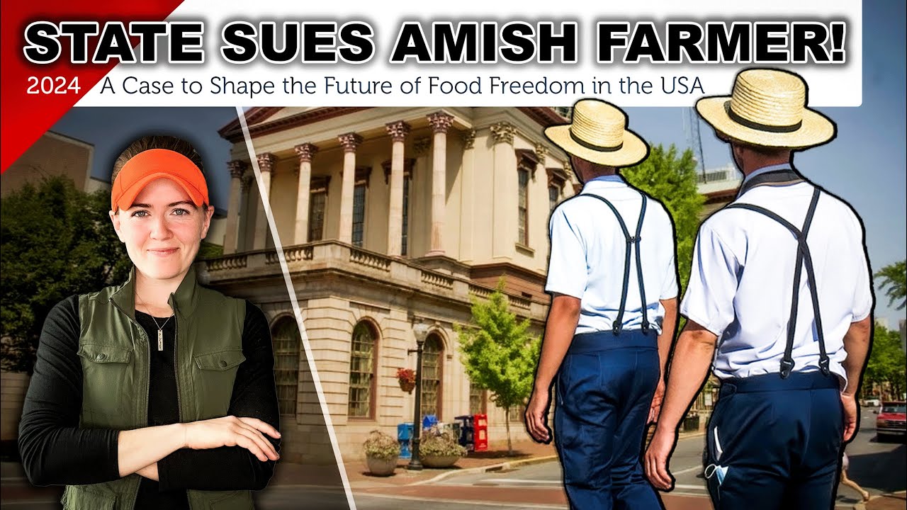 AMISH FARMER RAIDED (again) 2024 The Shepherdess