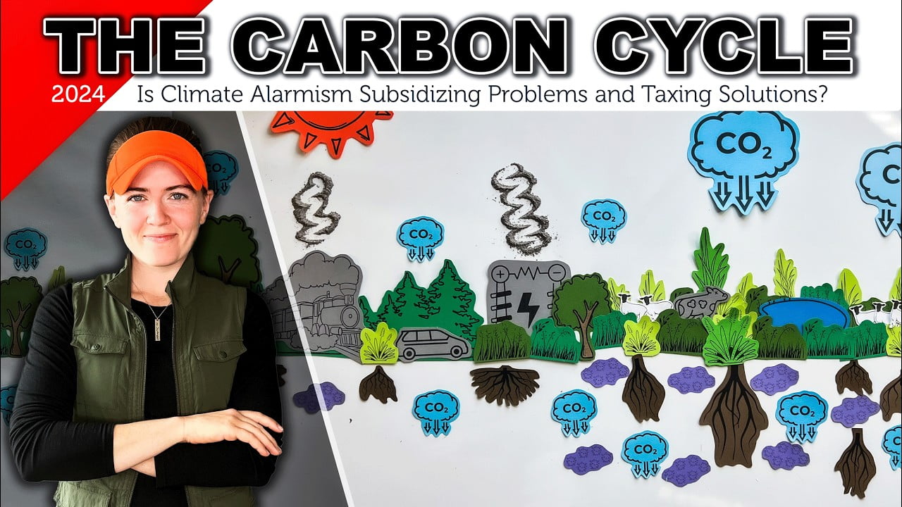 Carbon Cycle Animation