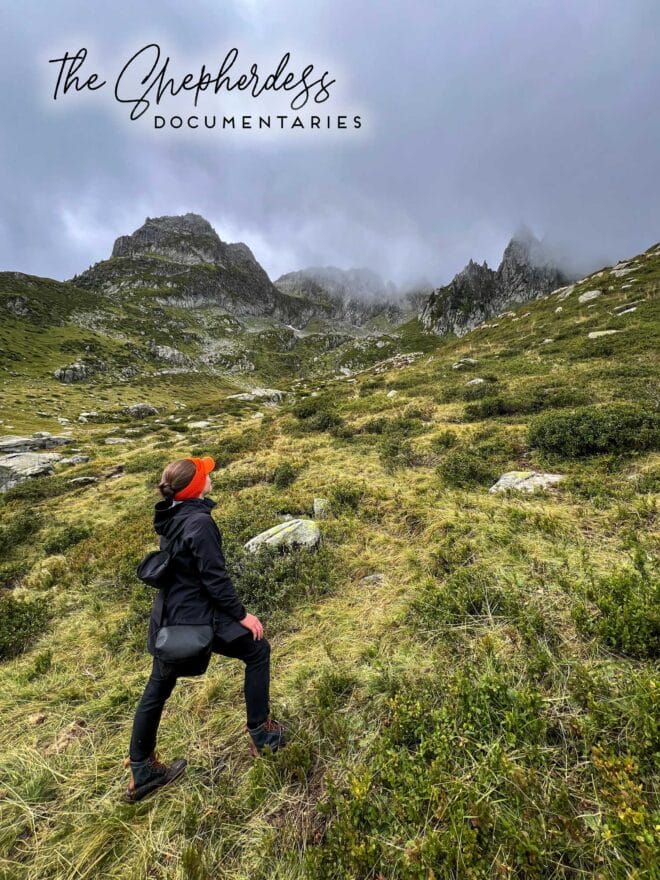 RAISING SHEEP IN EUROPE (Documentary)| France, Switzerland, and Italy ...