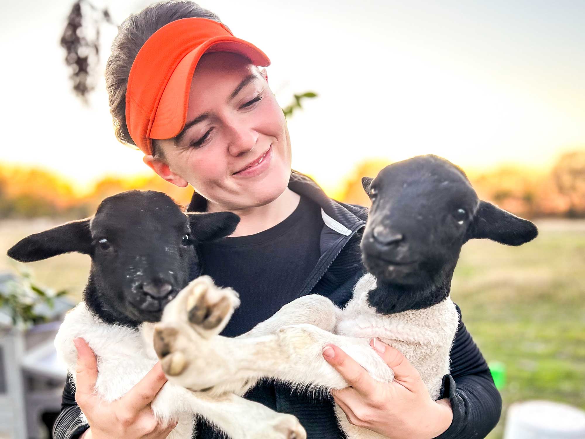 About the Shepherdess The Shepherdess